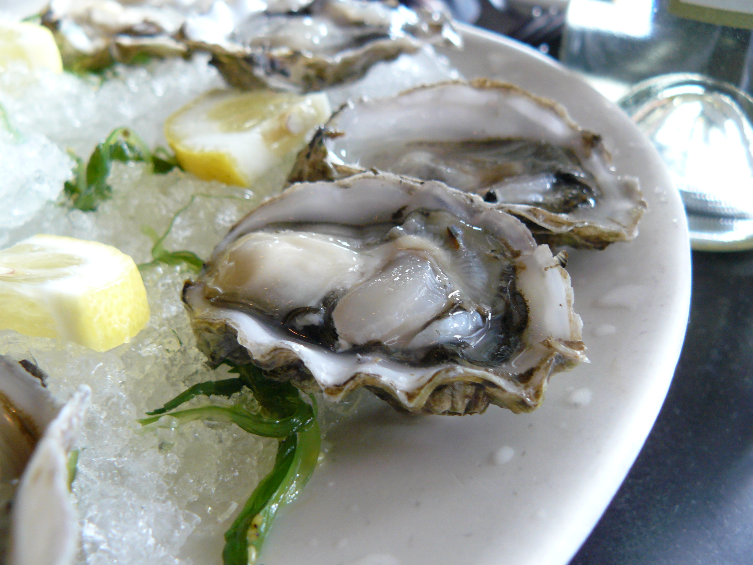 Oysters Here, Oysters There - Cornichon.org Oysters Here, Oysters There - Cornichon.org